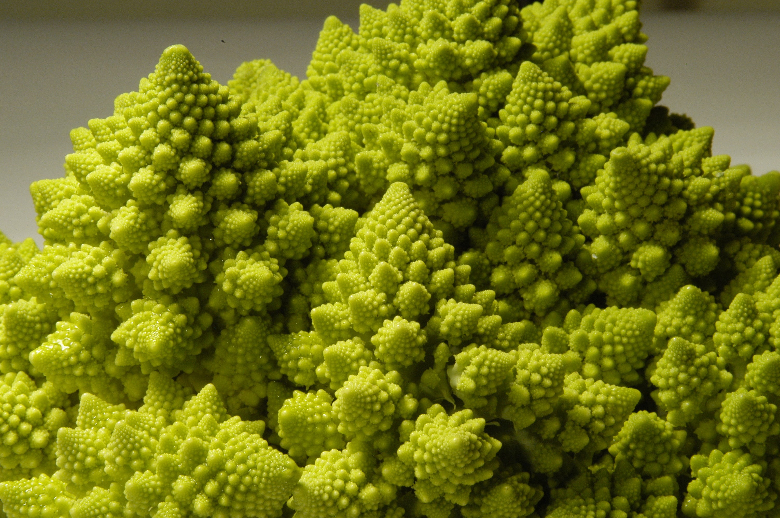 Romanesco